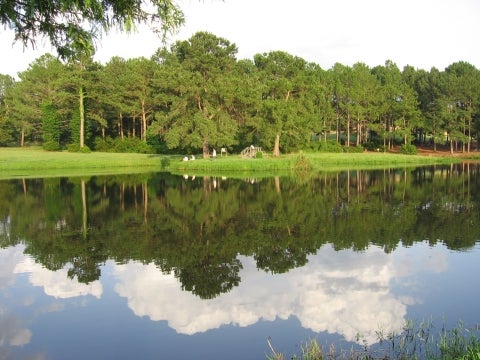 Camp Trevor Rees-Jones Scout Dues (Summer 2024) | Troop 82